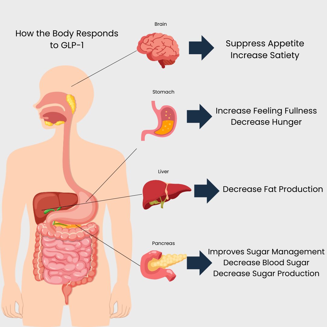 Oral GLP-1 Weight Loss · Pure Root Wellness
